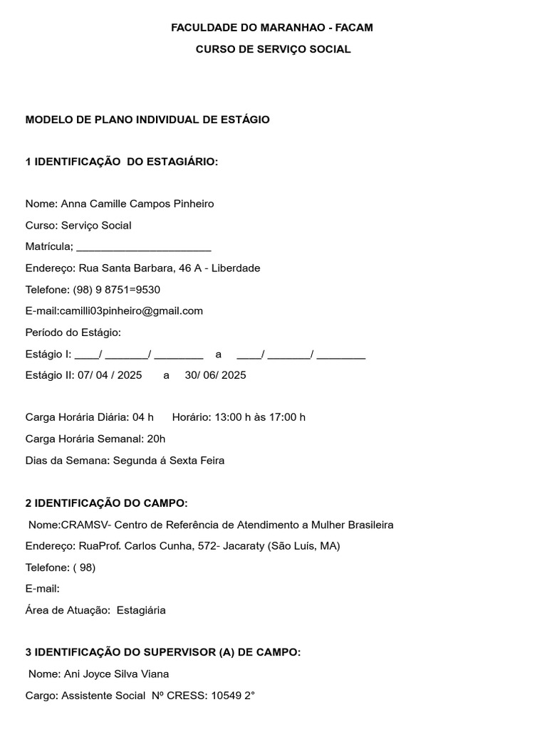 Modelo de Plano Individual de Estágio.docx | PDF | Trabalho social ...