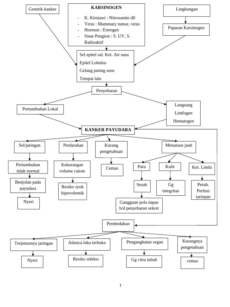 Pathway CA Mammae | PDF