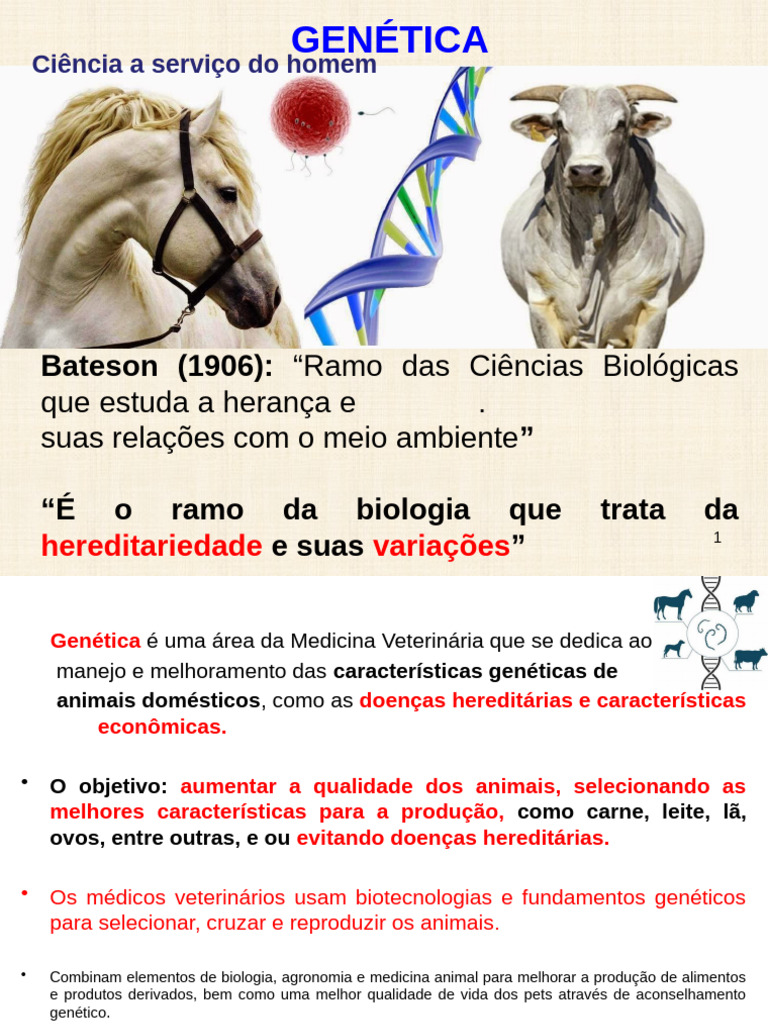Genética na Medicina Veterinária: Doenças e Melhoramento | PDF ...