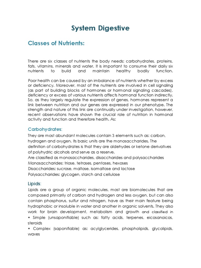 An In-Depth Examination of the Digestive System and the Crucial Roles ...