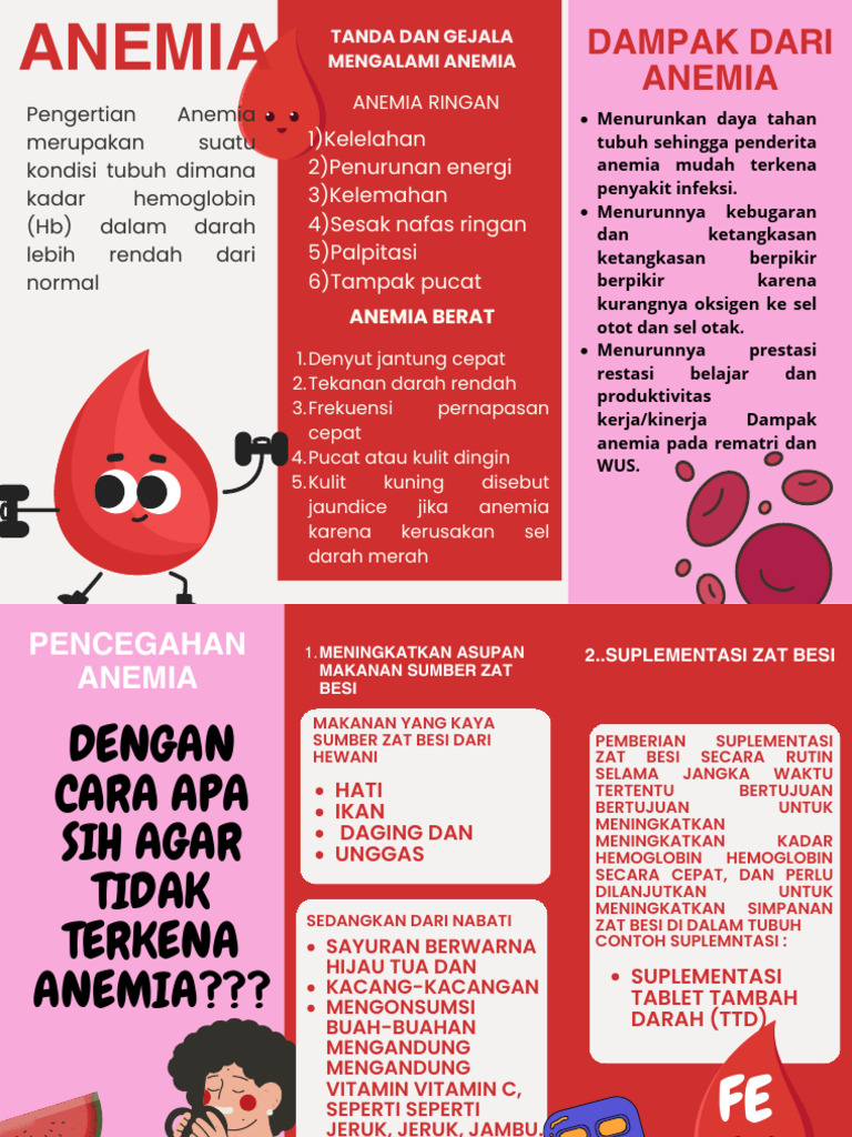 Poster Anemia | PDF