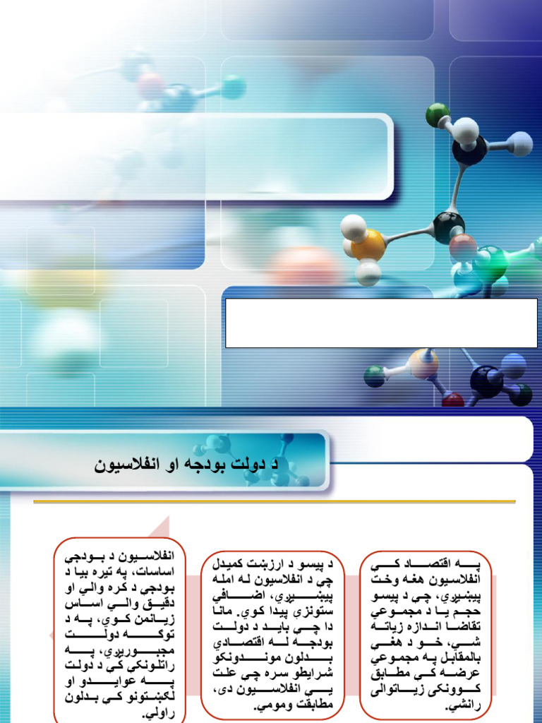 Fundamentals of Public Finance 11 - Lecture | PDF