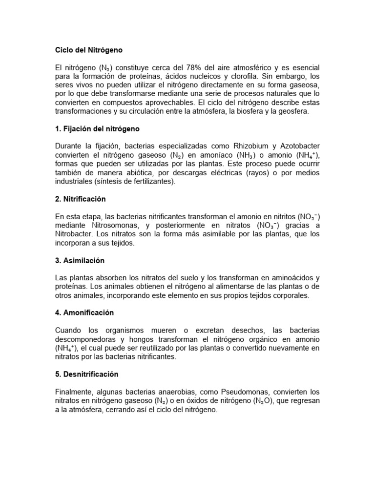 Ciclo Del Nitrogeno | PDF | Nitrógeno | Metabolismo