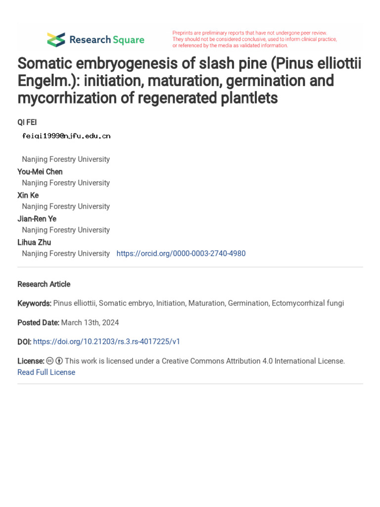 Somatic Embryogenesis of Slash Pine Pinus Elliotti | PDF | Embryo | Pine