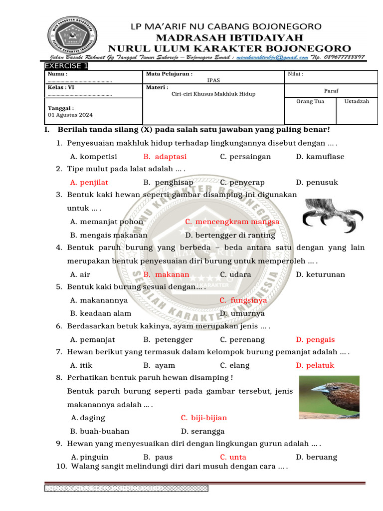 6 Ipa 3 (1 Agus) Ex 1 | PDF