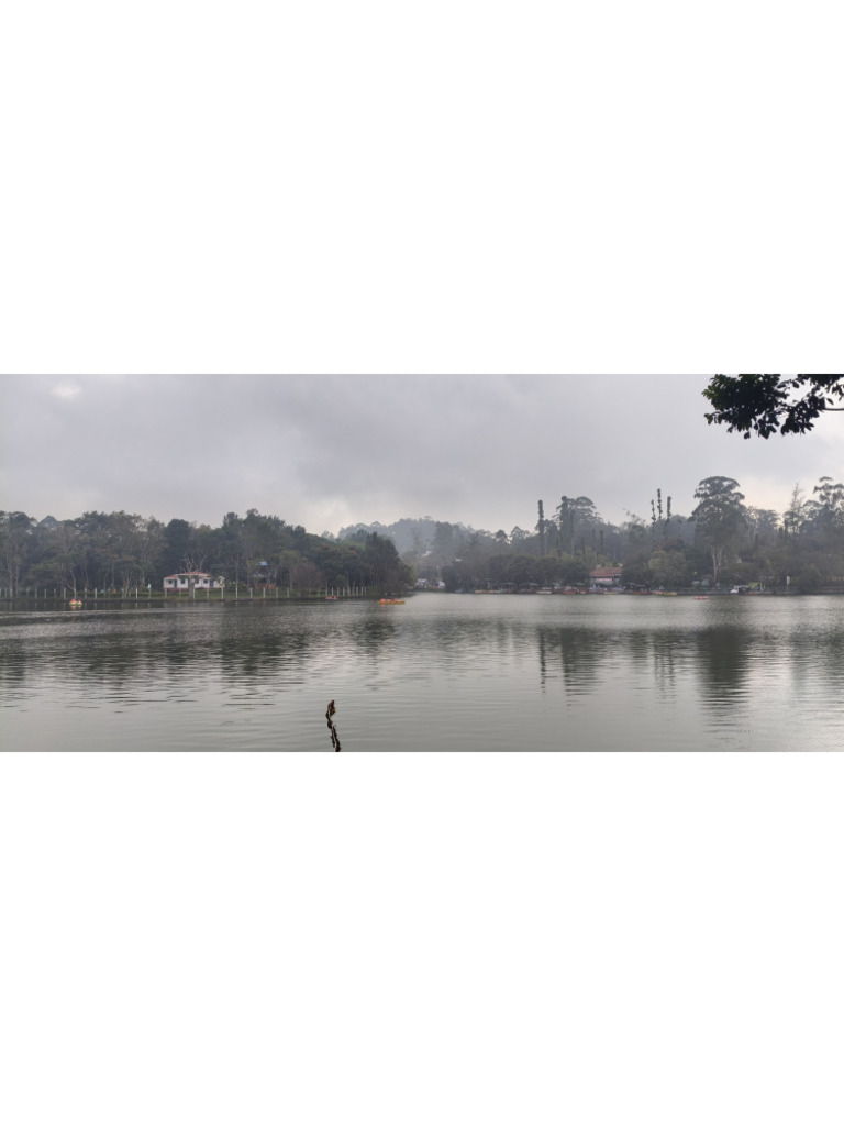 Misty Lakeside | PDF