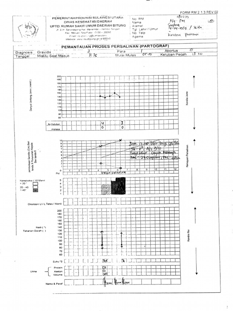 Lampiran Partograf | PDF