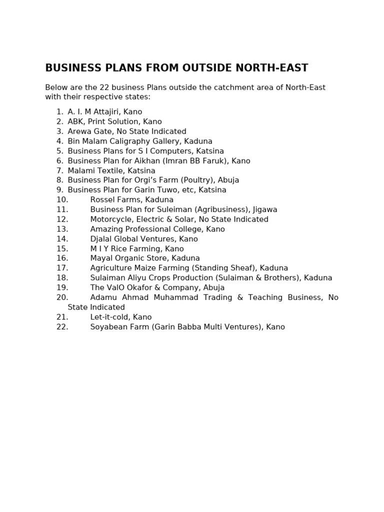 Business Plans From Outside North | PDF