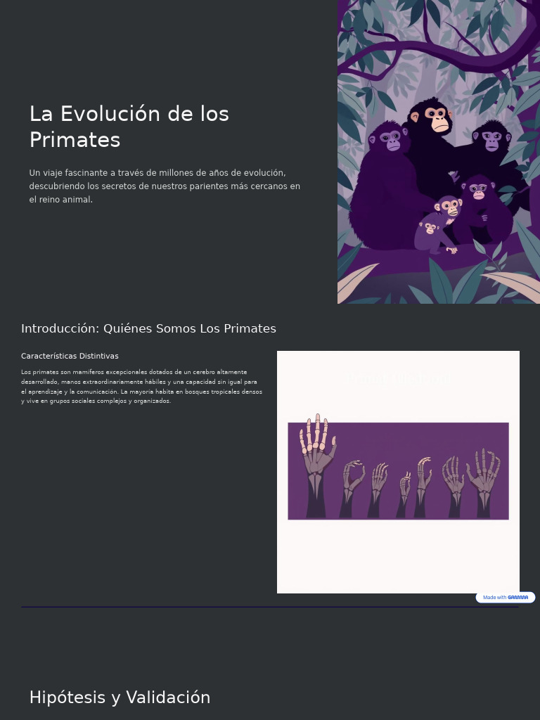Evolución y Características de los Primates | PDF | Mono | Evolución