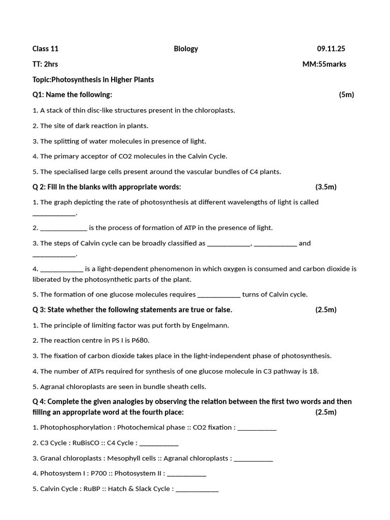 Class 11 Photosynthesis Test | PDF | Photosynthesis | Photochemistry