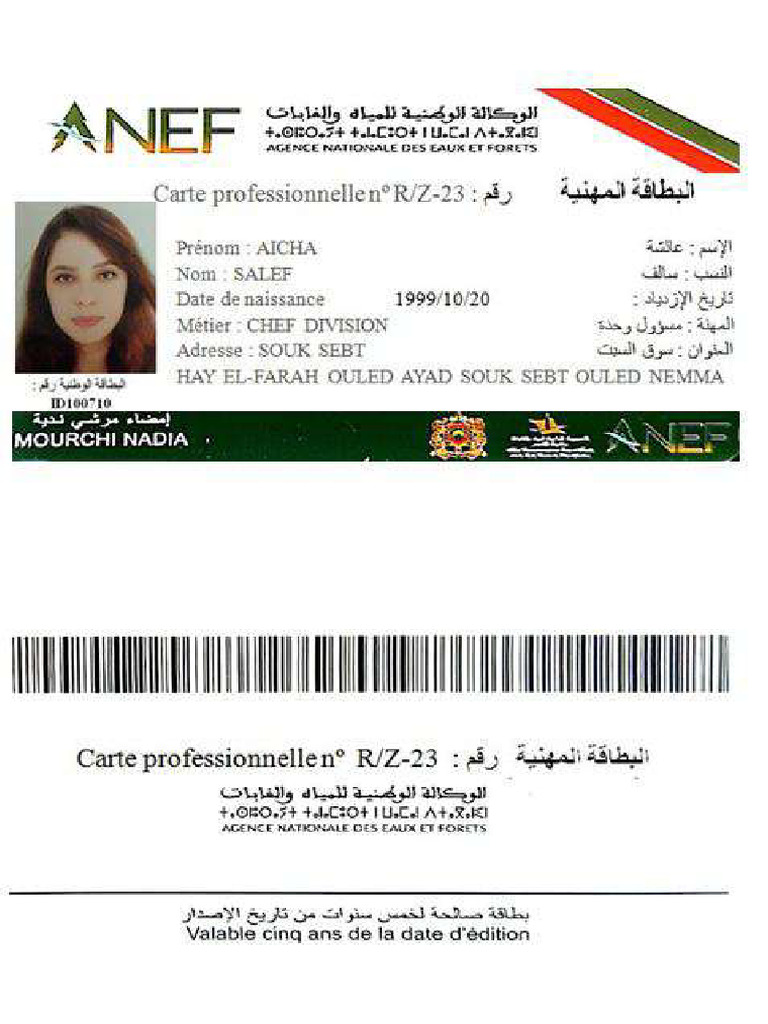 Badge Aneef | PDF