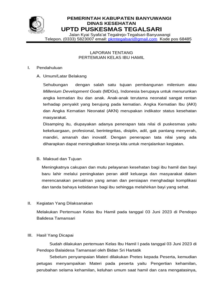 Lhk Kelas Ibu Hamil Juni | PDF