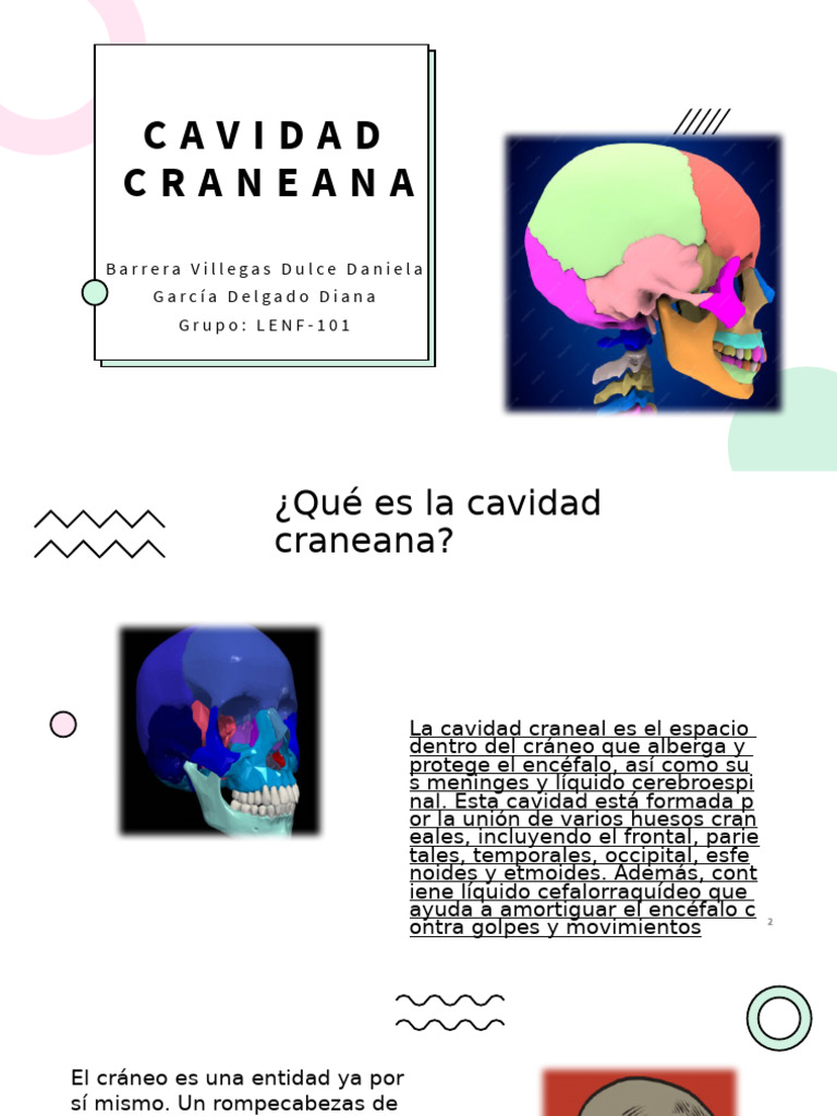 Exposición CAVIDAD CRANEAL | PDF | Cráneo | Sistema nervioso