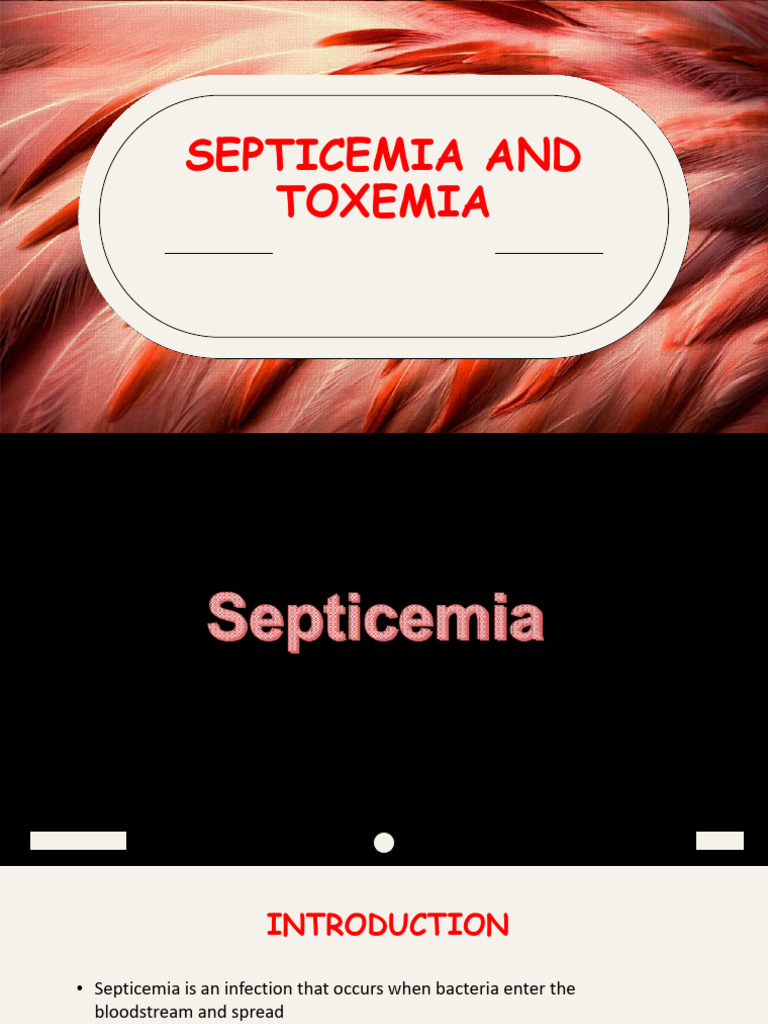 Understanding Septicemia and Toxemia | PDF | Sepsis | Edema