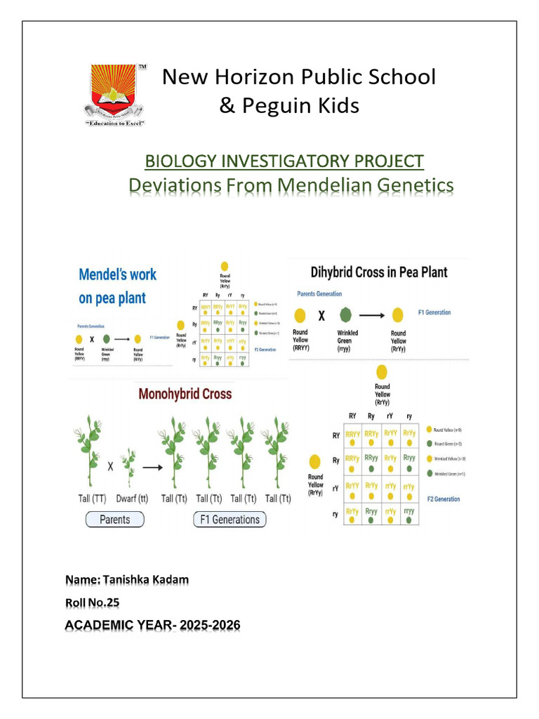 Biology Project | PDF | Dominance (Genetics) | Genetics