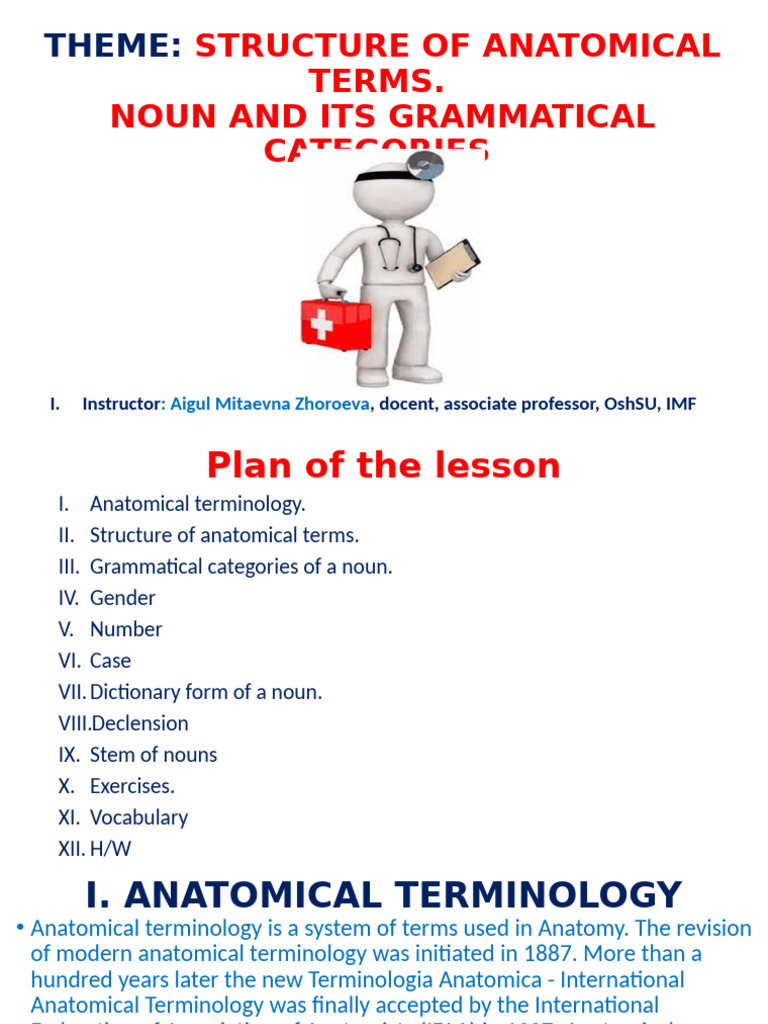 Latin Lang Lesson 3 | PDF | Grammatical Gender | Plural