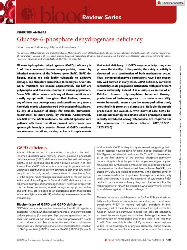 G6PD Deficiency: Genetics and Management | PDF | Glutathione ...