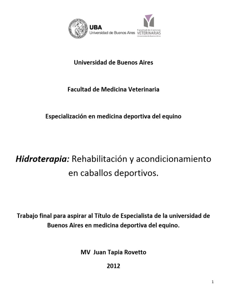Tesina Juan Tapia Rovetto | PDF | Nadando | Agua