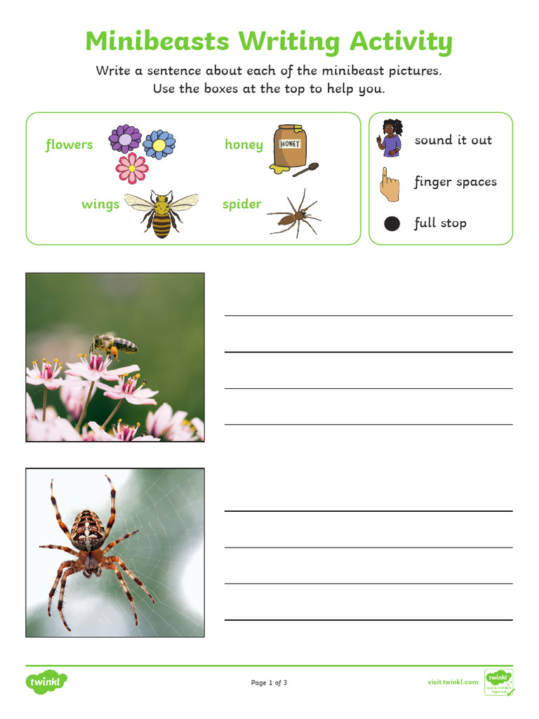 T e 2550234 Minibeast Themed Early Writing Activity Ver 3 | PDF