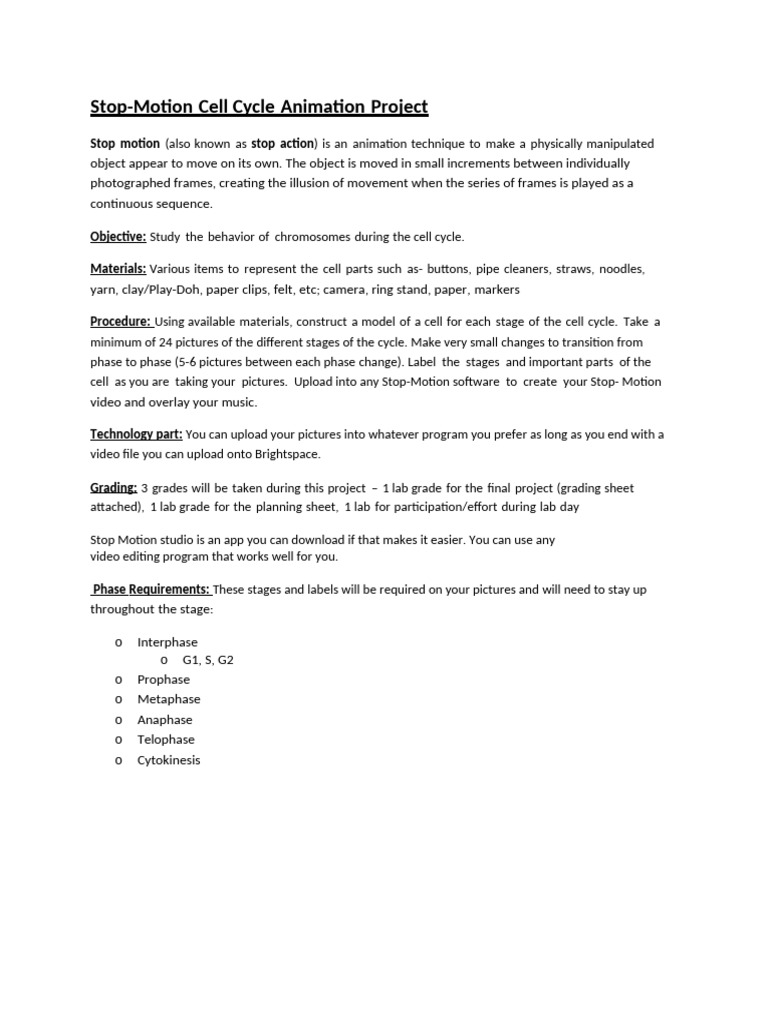Stop Motion Mitosis Animation Project | PDF | Mitosis | Chromosome