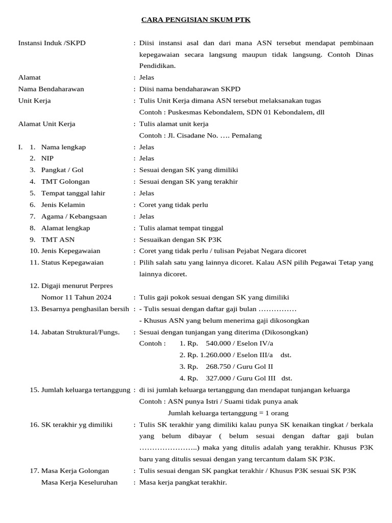 Panduan Pengisian SKUM PTK ASN | PDF