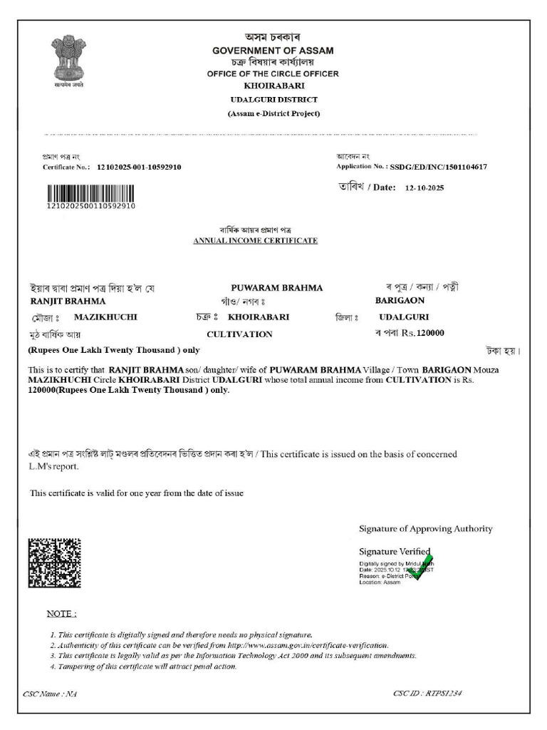 Debojit Inocme | PDF