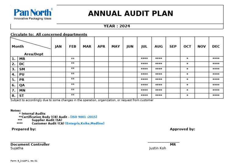 2024 Annual Audit Plan Overview | PDF