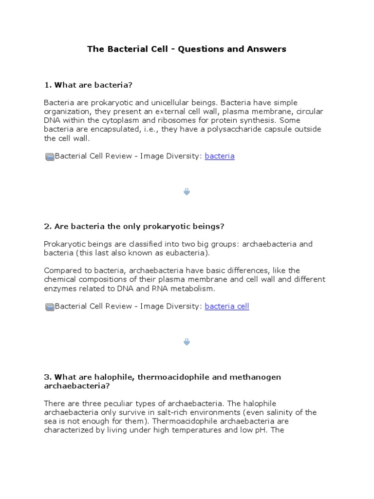 The Bacterial Cell - Questions and Answers: 1. What Are Bacteria ...