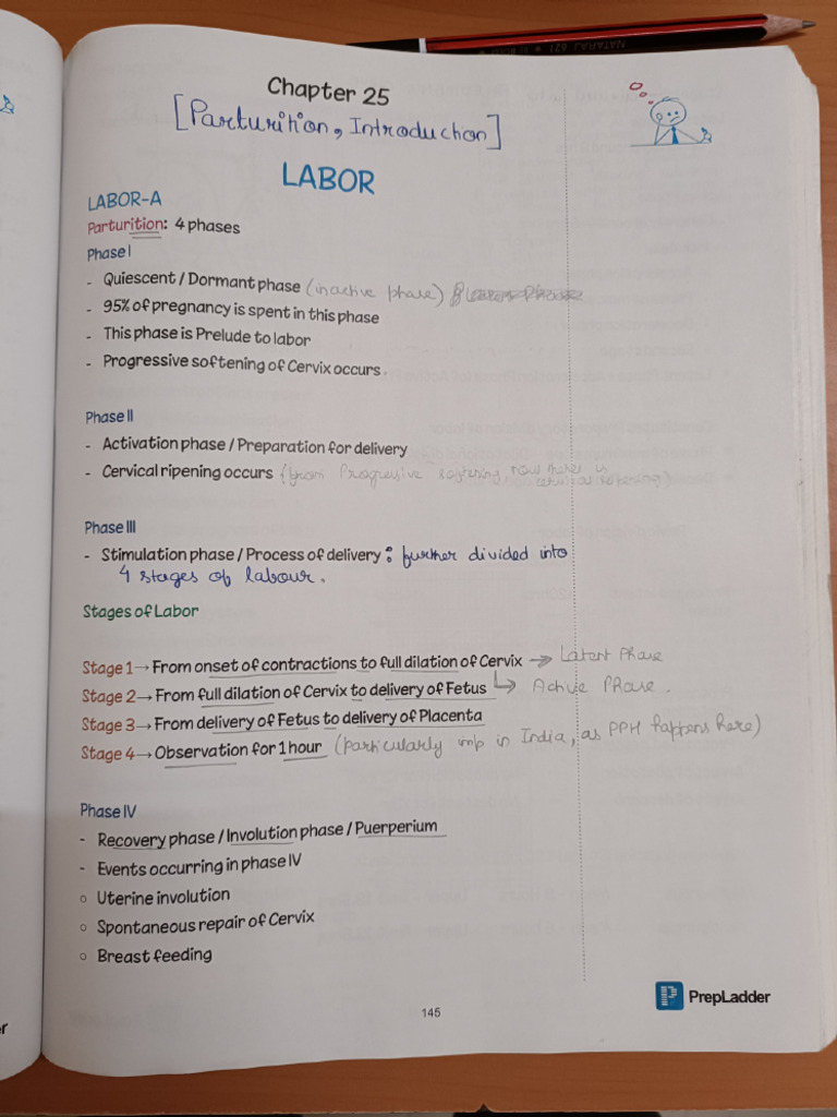 Labour? | PDF