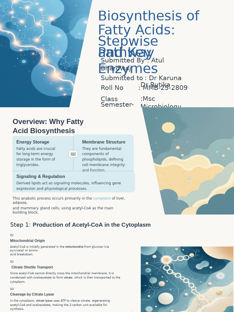 Fatty Acid Biosynthesis Pathway Overview | PDF | Organic Compounds ...
