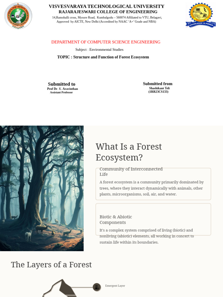 Forest Ecosystem Structure and Function | PDF | Ecosystem | Forests