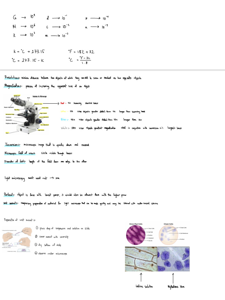 bio lab | PDF | Epithelium | Anatomy