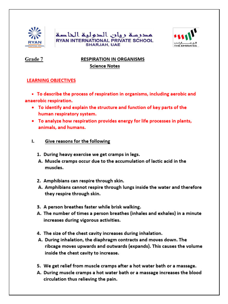 Grade 7 Science: Respiration Explained | PDF | Breathing | Lung