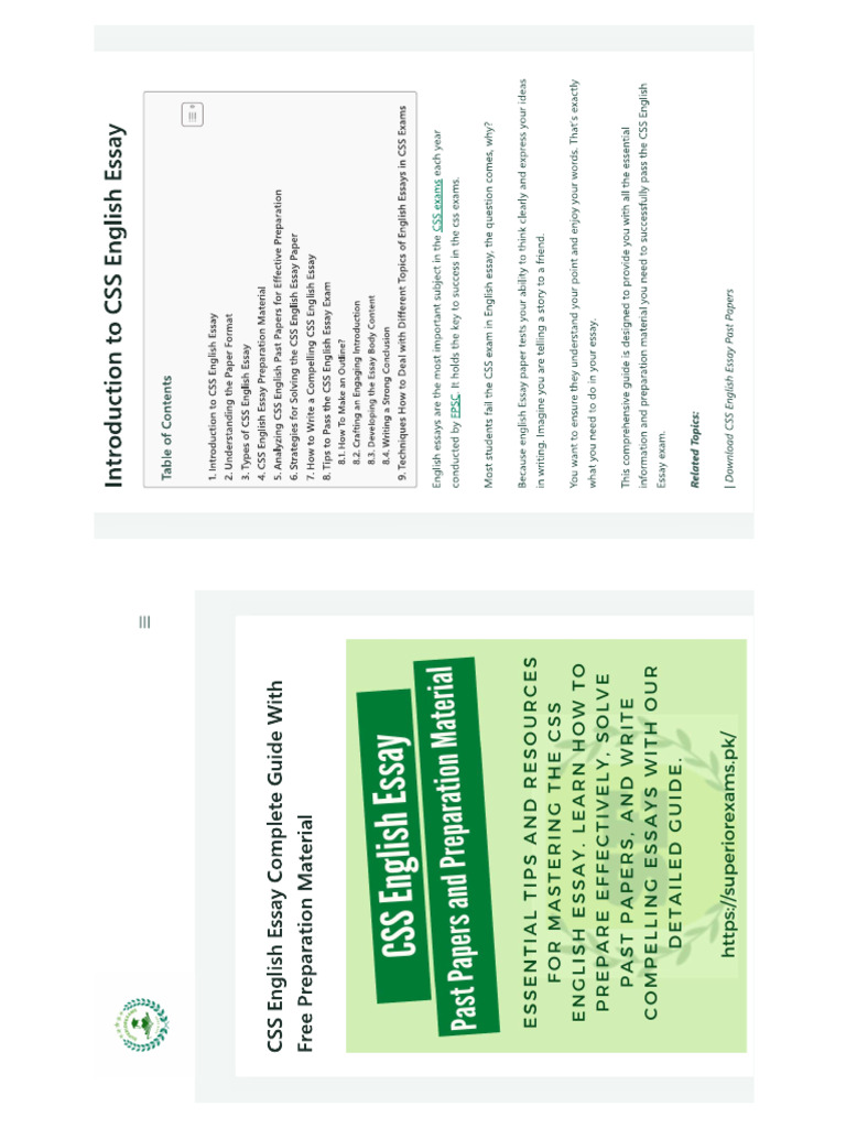 Print Css Essay | PDF
