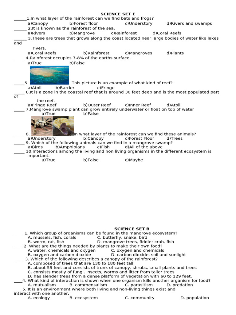 Rainforest and Ecosystem Quiz | PDF | Rainforest | Coral Reef