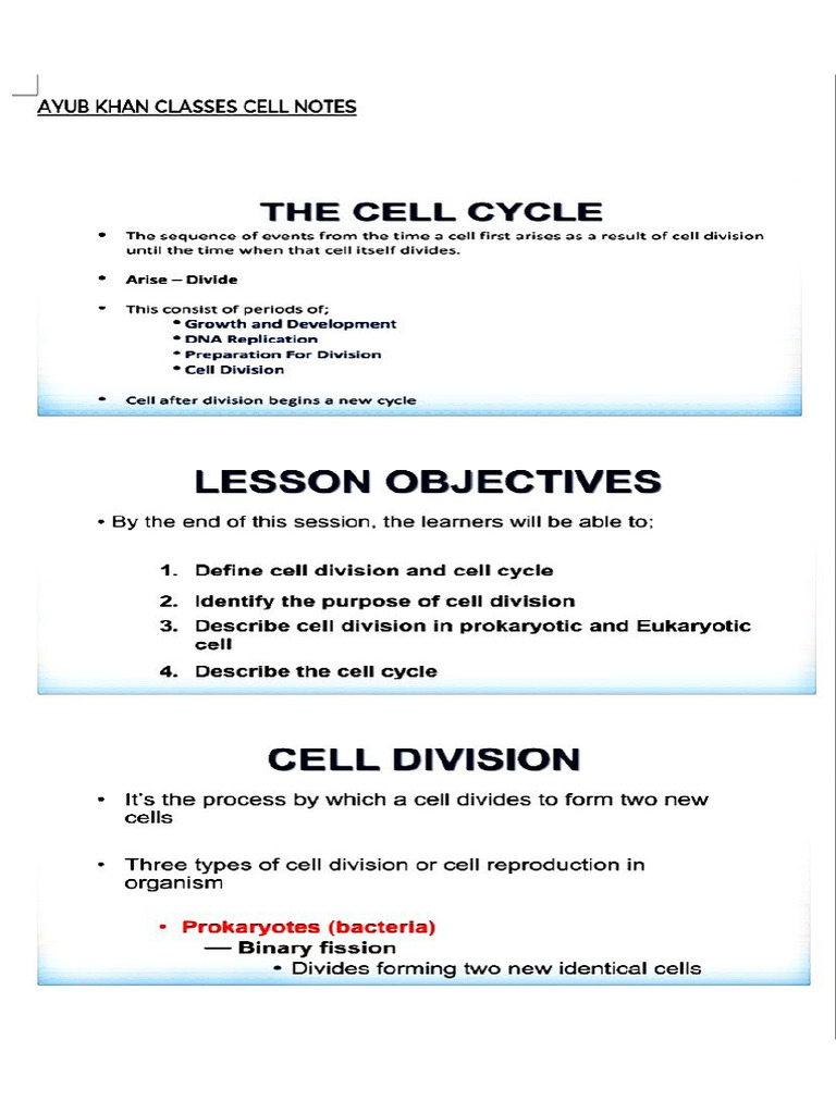 Cell Cycle Notes | PDF