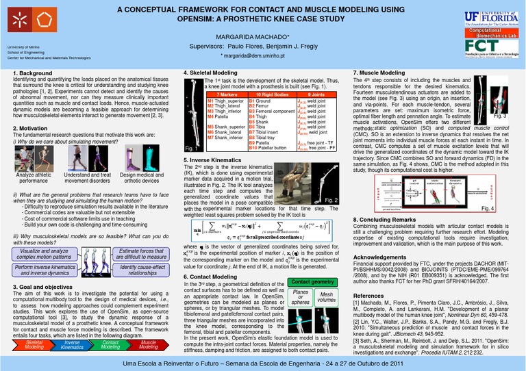 Prosthetic Knee Modeling with OpenSim | PDF | Knee | Simulation