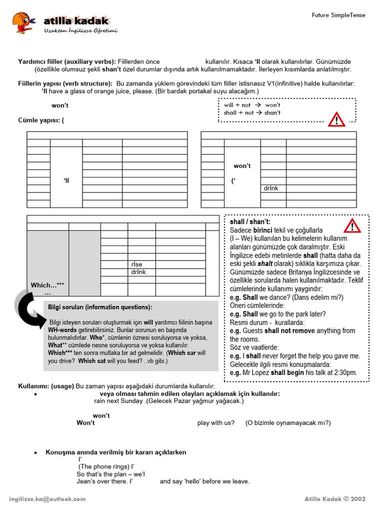 Future Simple Tense (Will) | PDF