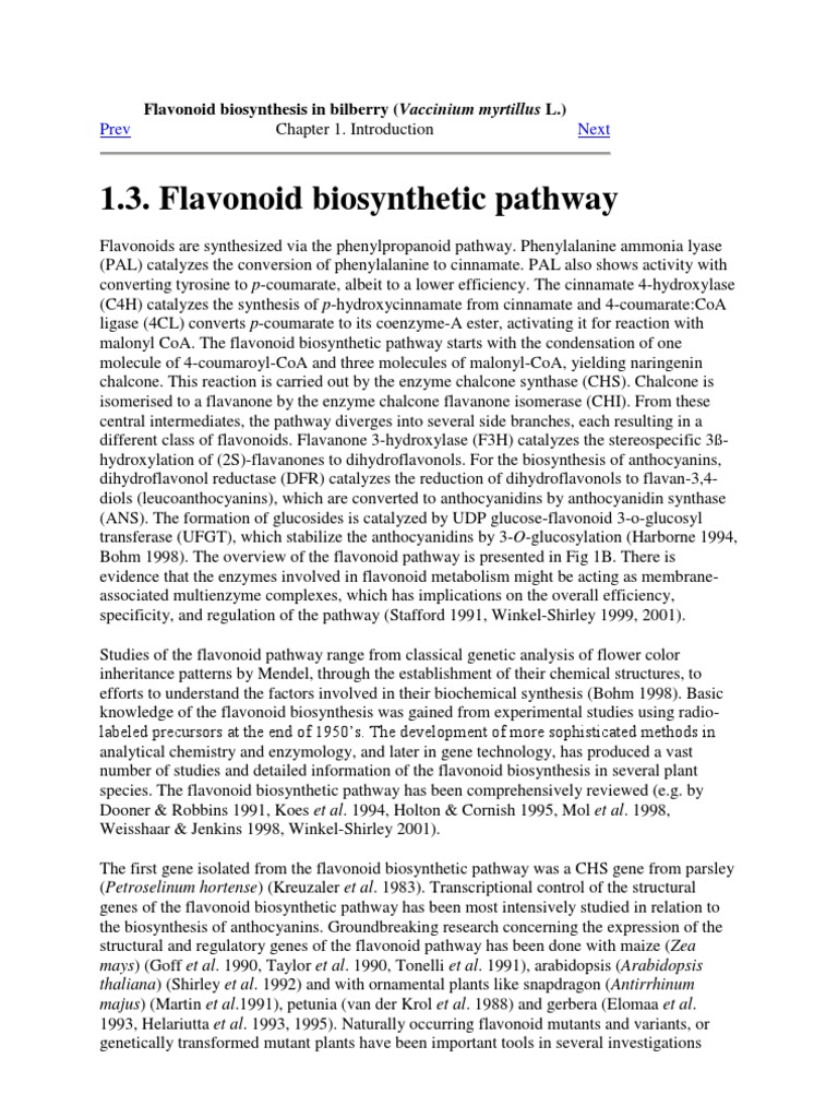 Flavonoid Bio Synthesis in Bilberry | PDF | Biosynthesis | Biomolecules