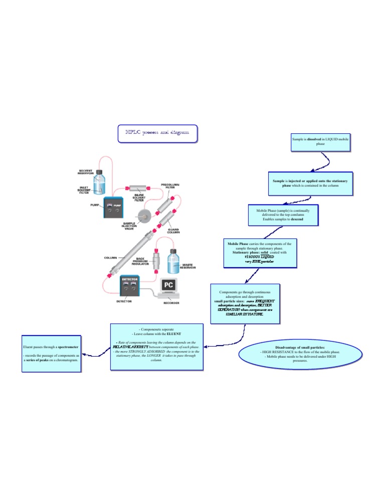 HPLC Diagram | PDF