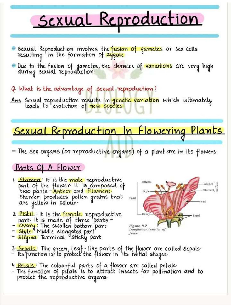 How Do Organisms Reproduce (Part Ll) | PDF