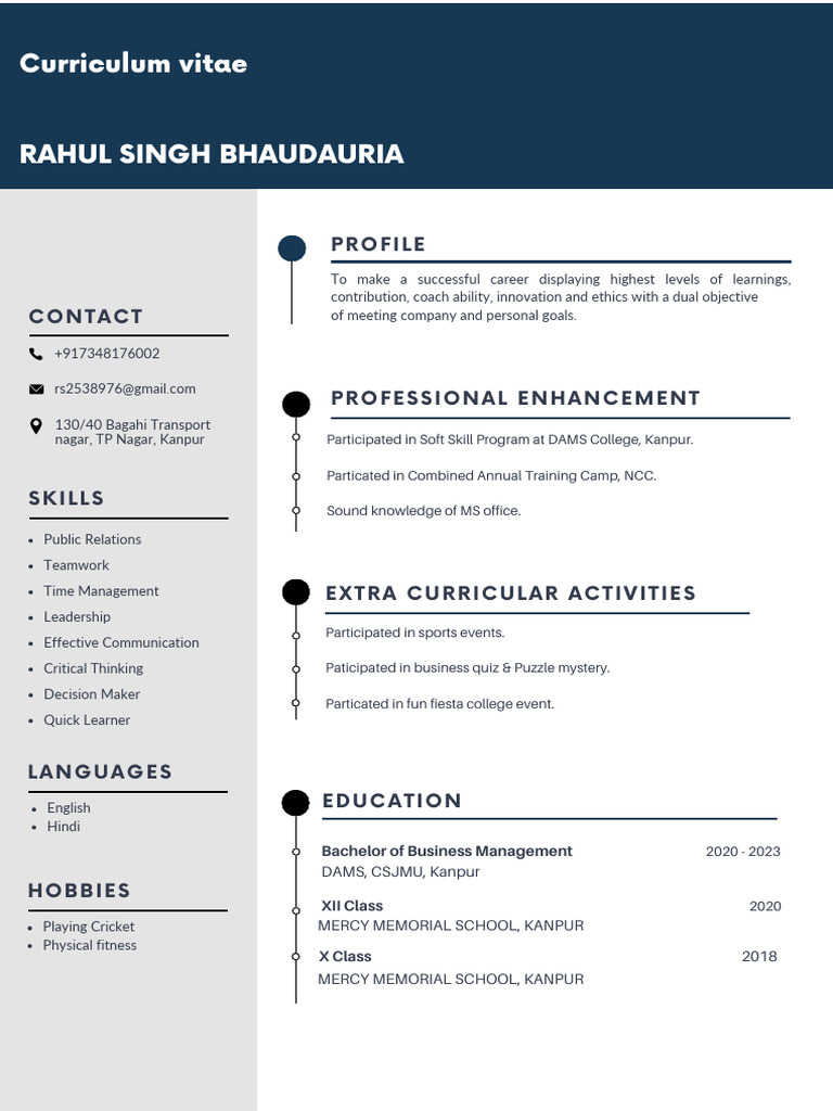 Blue and Gray Simple Professional CV Resume | PDF
