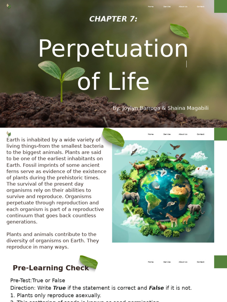 Lesson 1- Reproduction in Plants_20251119_193532_0000 | PDF | Seed ...
