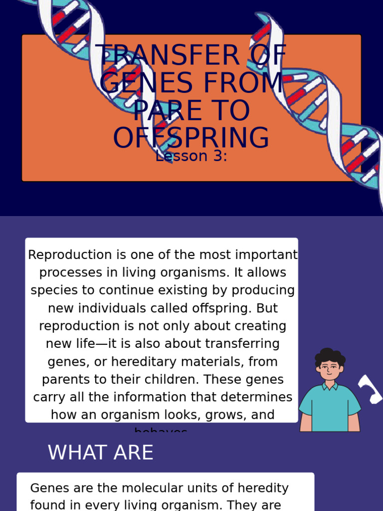 Gene Transfer in Reproduction Explained | PDF | Reproduction | Genetic ...