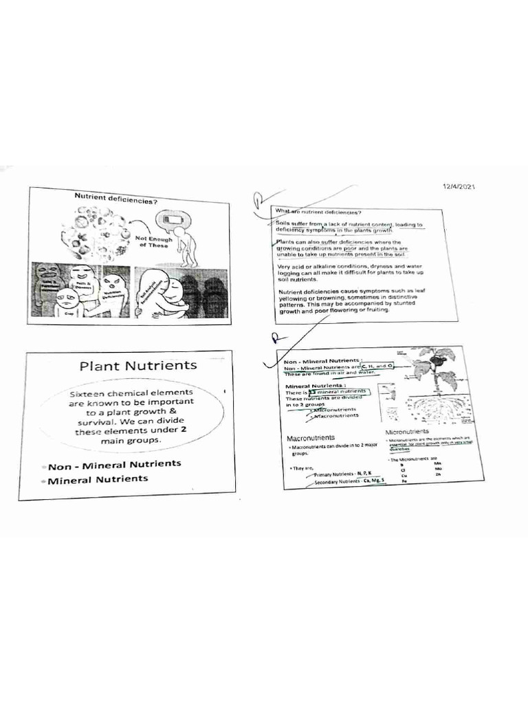 Nutrients Deficiency | PDF
