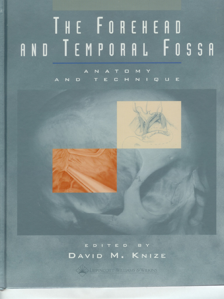 0.the Forehead and Temporal Fossa-1stKnize2001 | PDF | Medicine