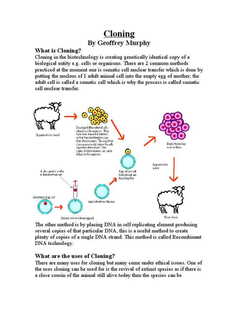 Cloning: Methods, Uses, Pros & Cons | PDF | Cloning | Dna
