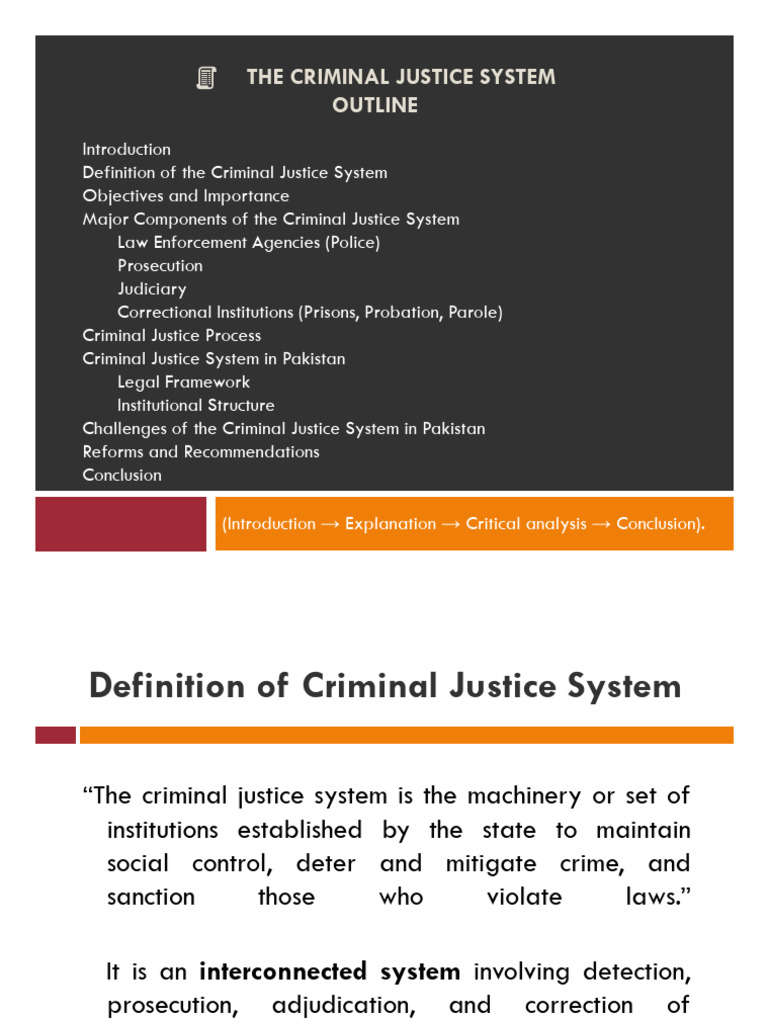 Lecture 5 Criminal Justice System | PDF | Crime & Violence | Criminal Justice