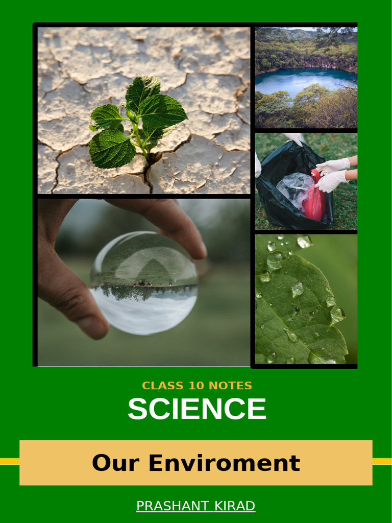 Our Environment - Short Notes (Prashant Kirad) | PDF | Ecosystem | Food Web