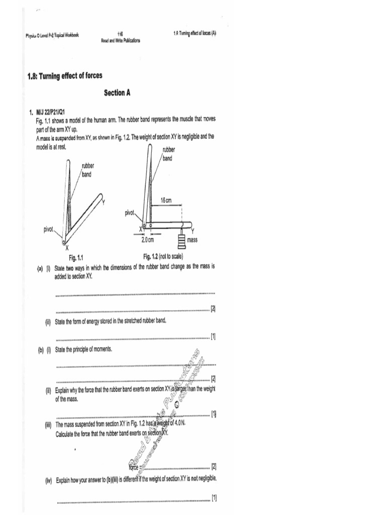 Turning Forces Work Sheet 1 O Level Physics P2 Topical | PDF
